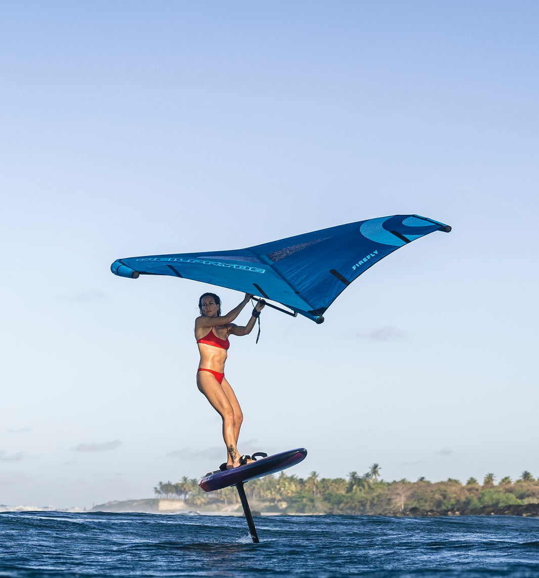 Toronto's Bike Kite & Boardsports Wonderland - Silent Sports